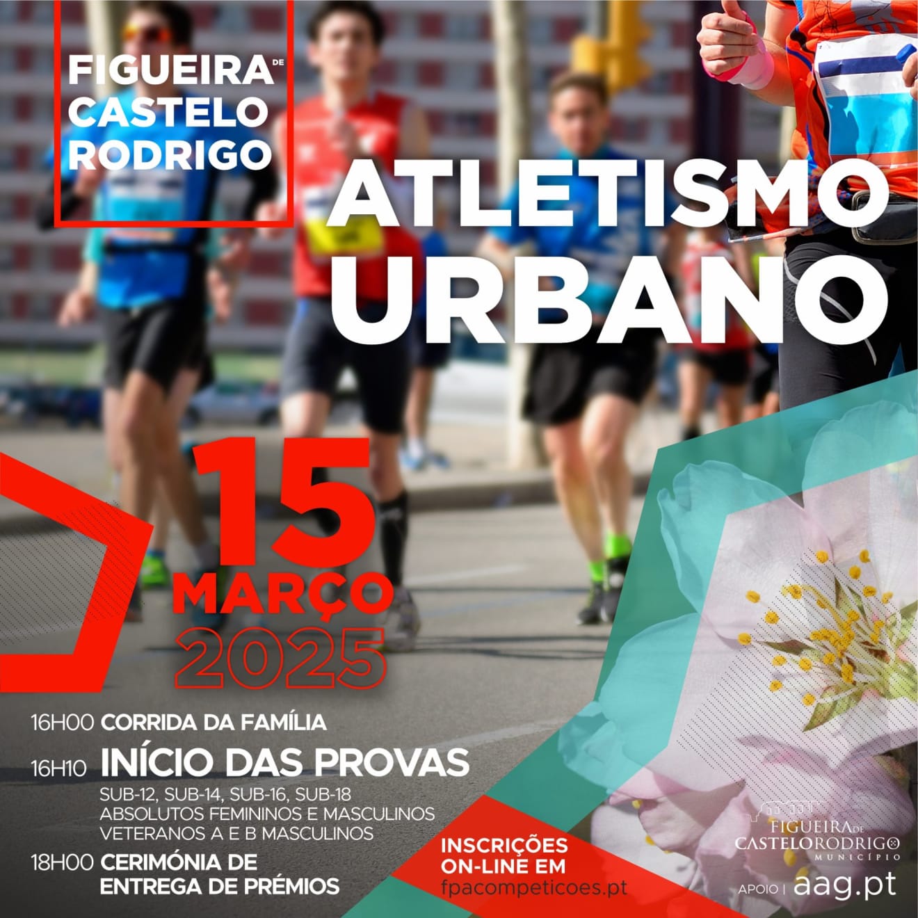 Provas de Atletismo Urbano na Festa da Amendoeira em Flor – inscrições ...